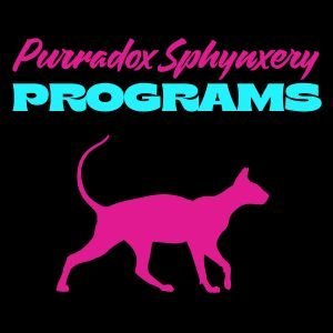 Our Sphynx Breeding Programs | Purradox Sphynxery